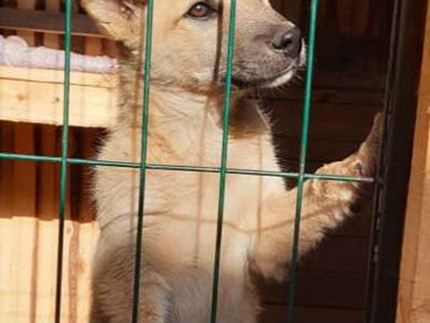 В ответственные ручки, бесплатно