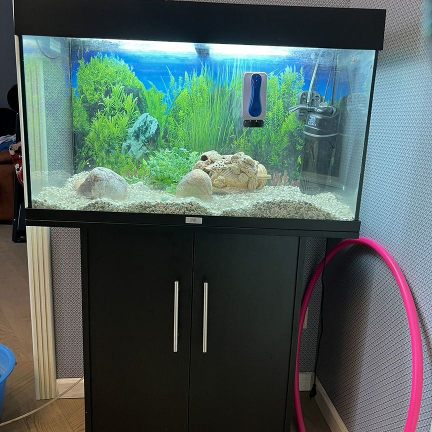 Аквариум с тумбой juwel 120 литров, б/у