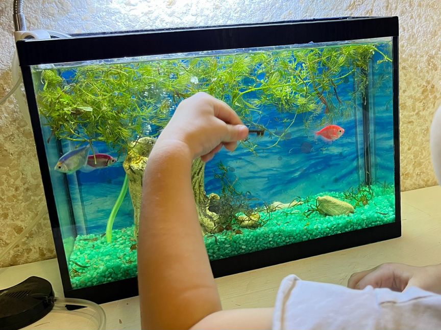 Продам аквариум готовый для использования