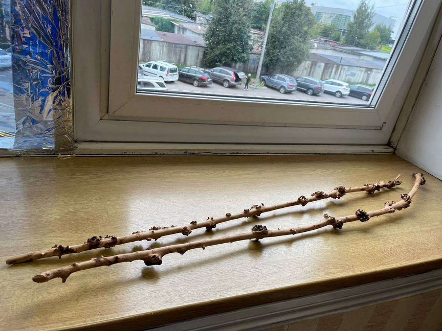 Жердочки