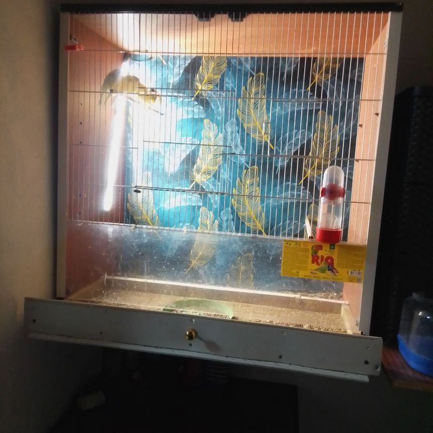 Клетка вольер для птиц