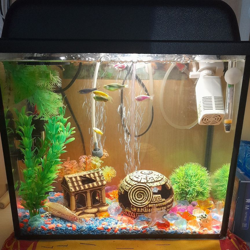 Аквариум с рыбками