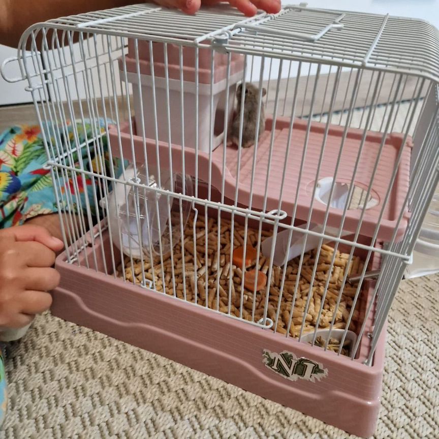 Клетка для грызунов