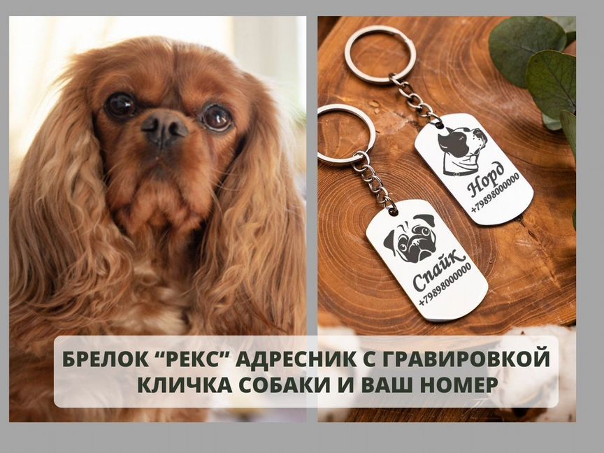 Адресник «Рекс» для собак и кошек. Гравировка клич