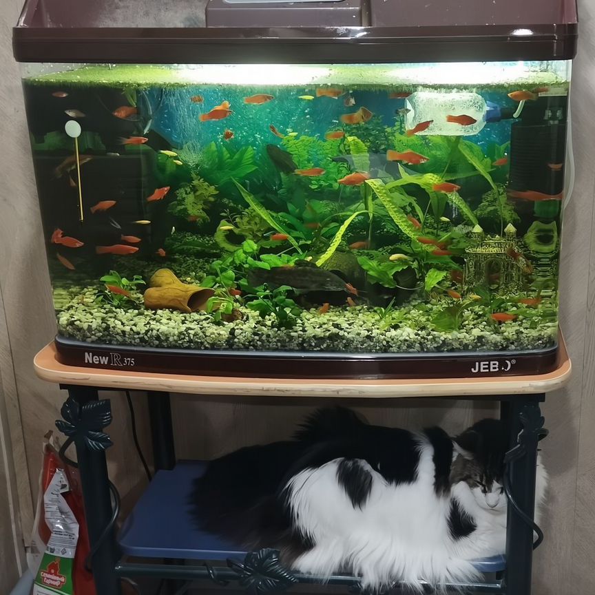 Аквариум Джебо375 на 140л