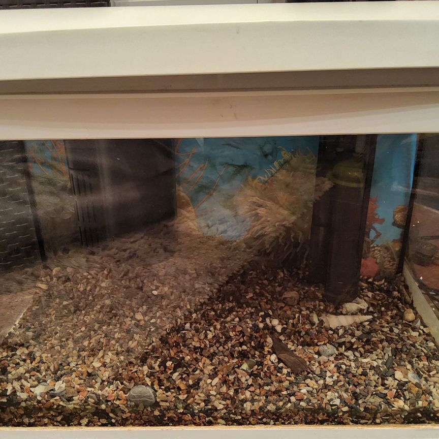 Аквариум Tetra белый 60л