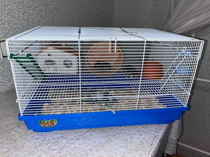 Клетка для хомяка