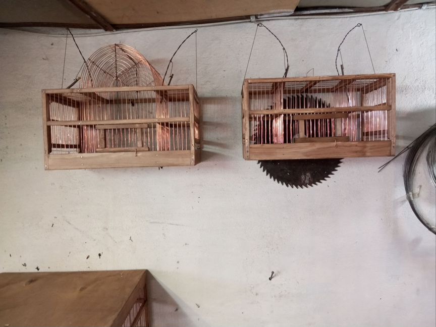 Щеглы чижи снегири зяблики. Клетки западни