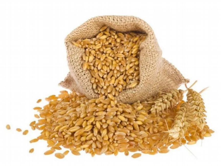 Зерно, пшеница