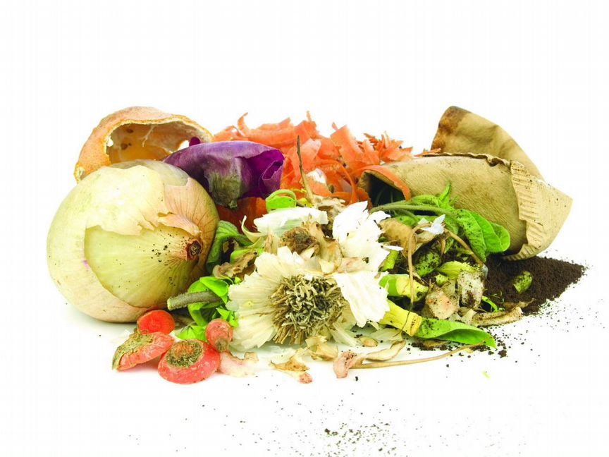 Пищевые отходы