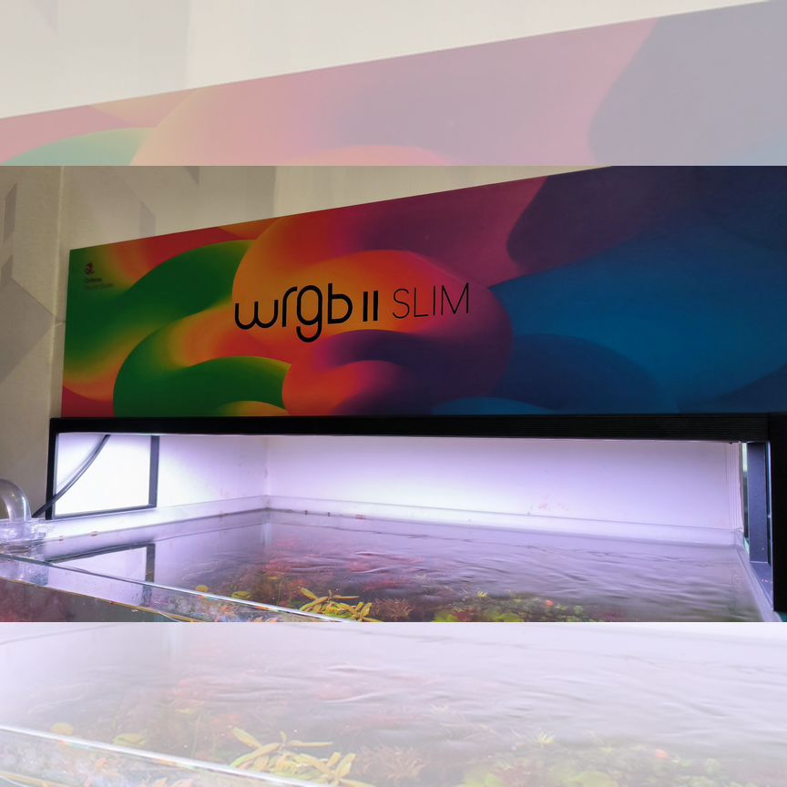 Chihiros wrgb 60 Slim светильник аквариумный