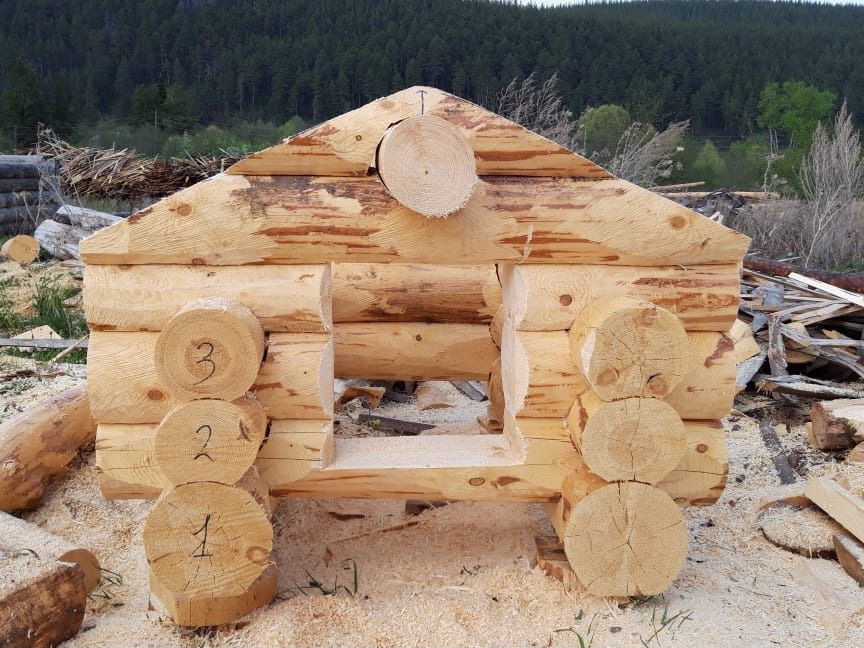 Собачья конура