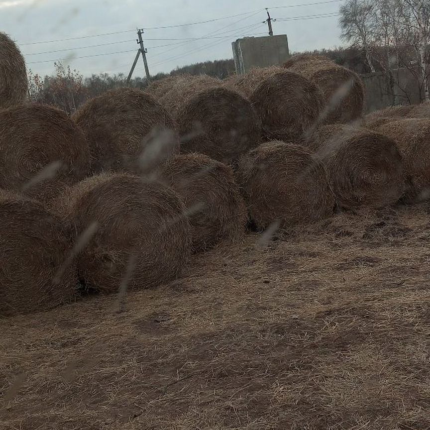 Солома и сено