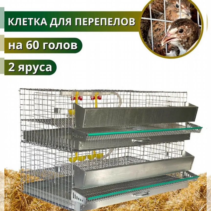 Клетки для перепелов бу