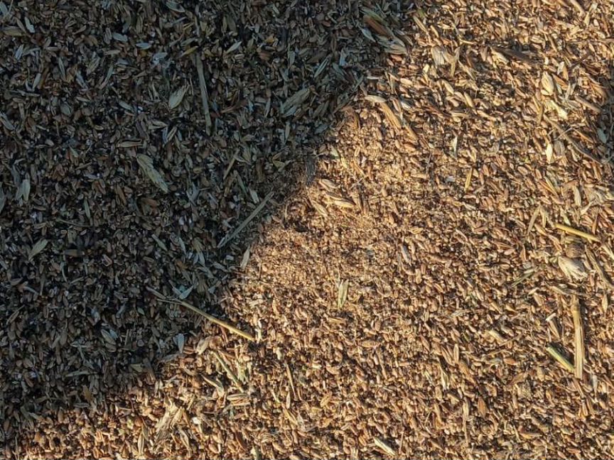 Отходы пшеничные