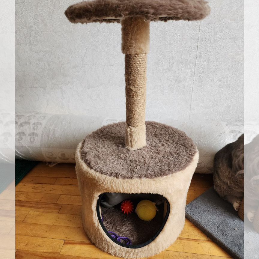 Когтеточка с домиком бу