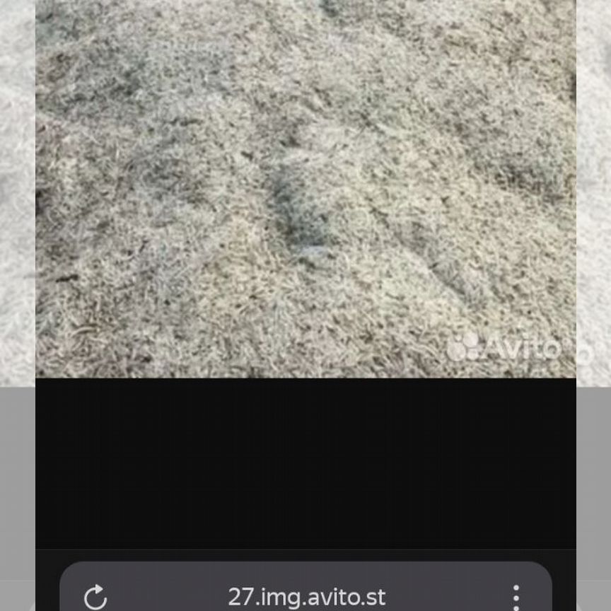 Жом свекловичный сырой