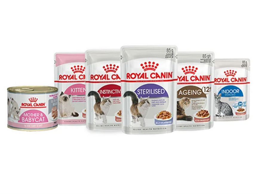 Корм для кошек royal canin