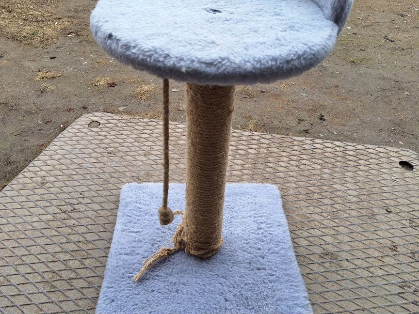 Когтеточка бу