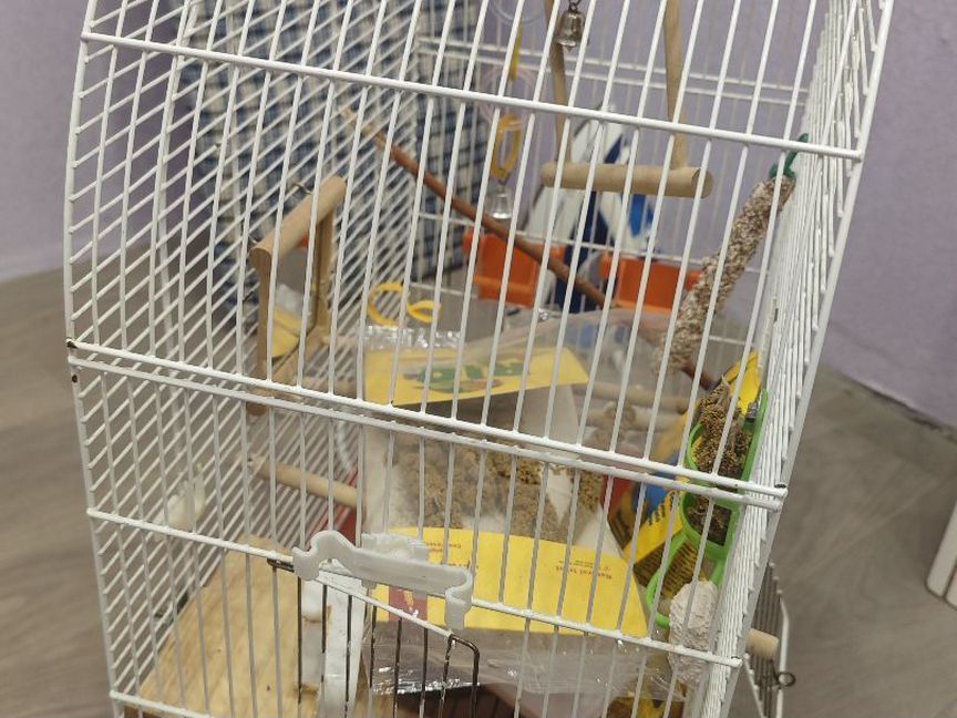 Клетка для попугая
