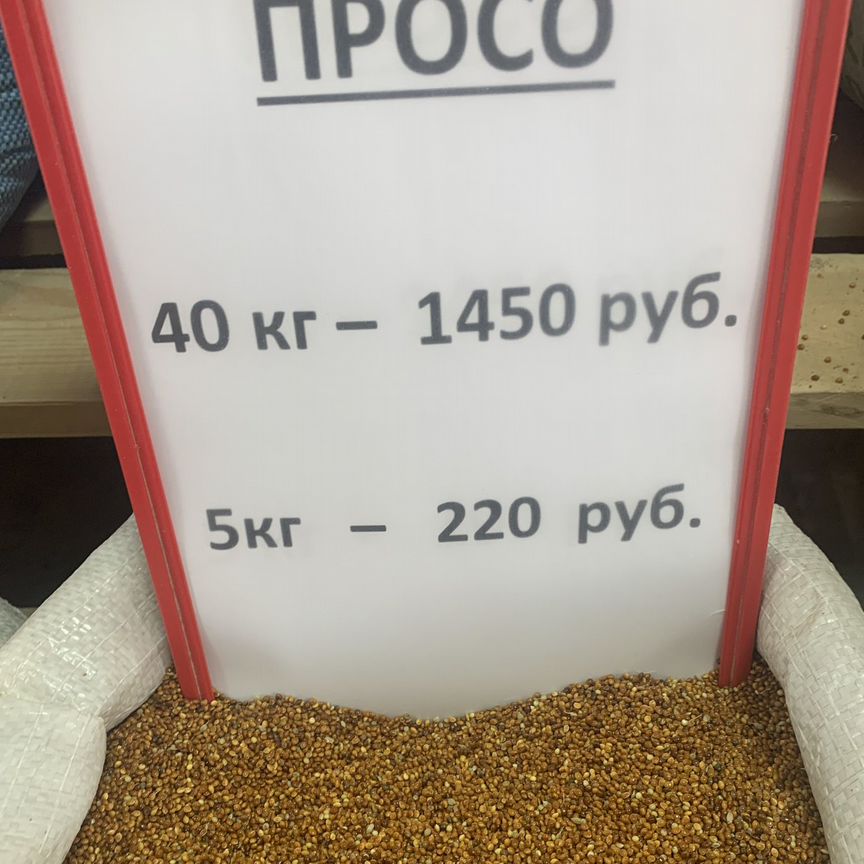 Продам просо красное