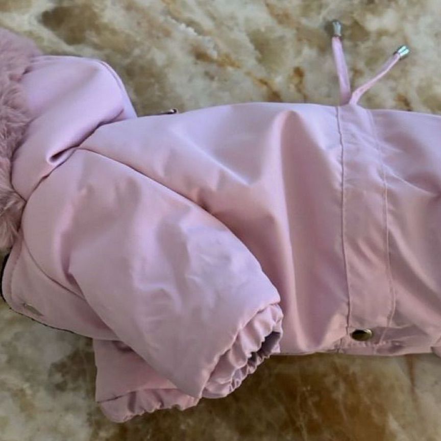 Одежда для собак мелких пород девочка