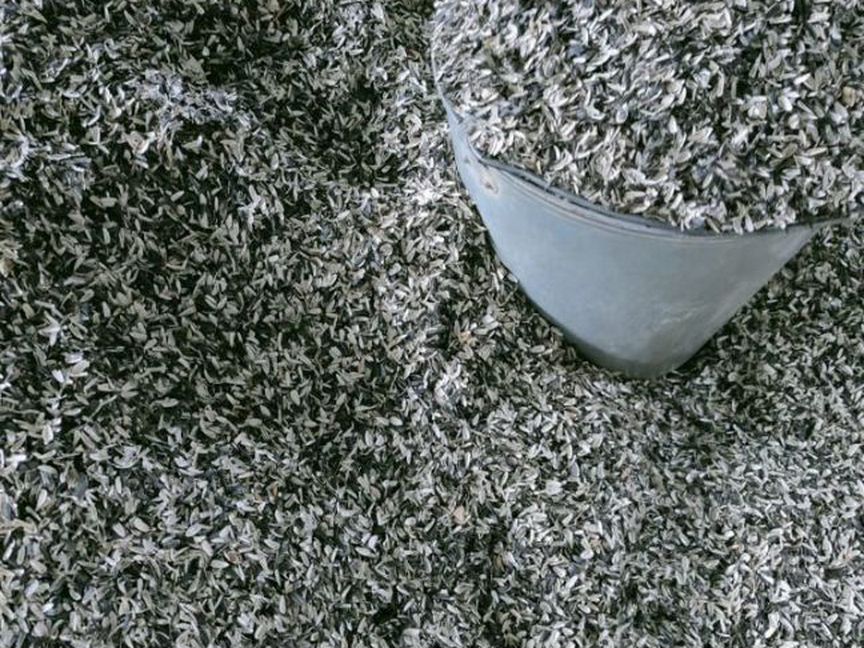 Шелуха подсолнечника