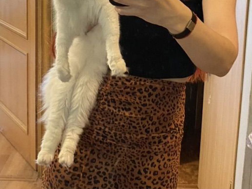 Кот Б/у, в отличном состоянми