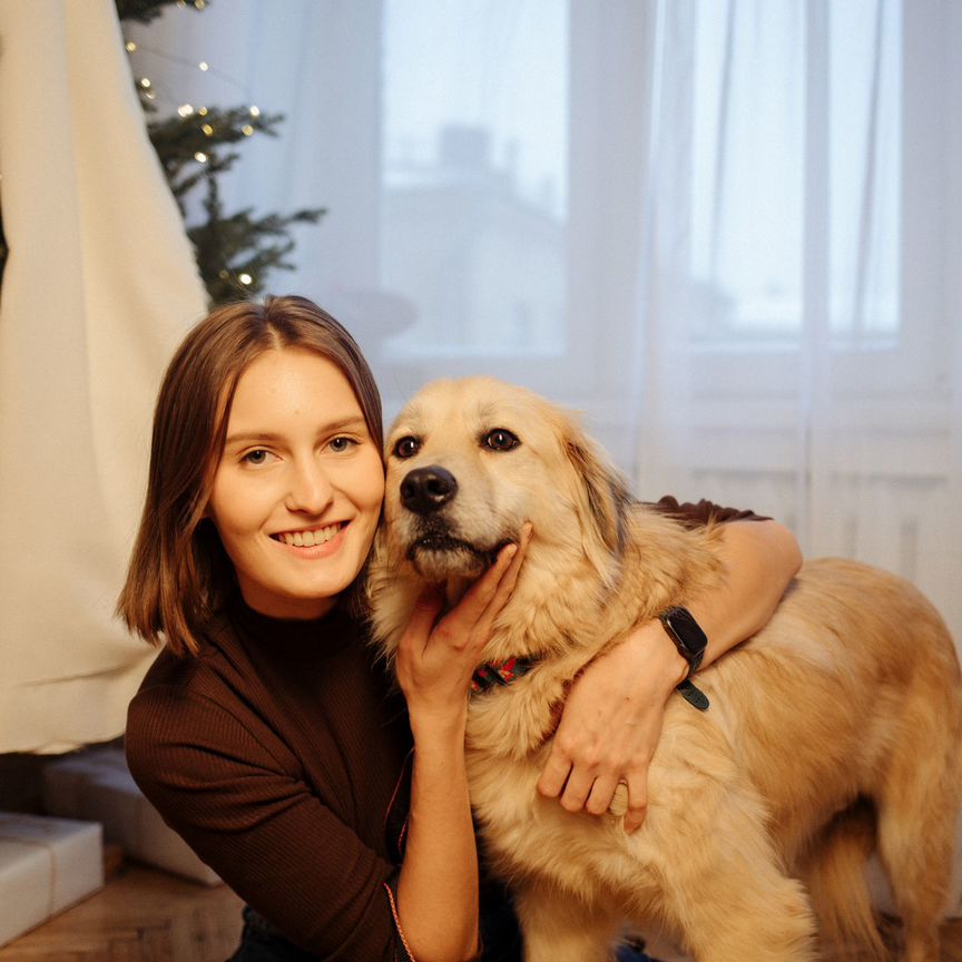 Собака в добрые руки/ Альма