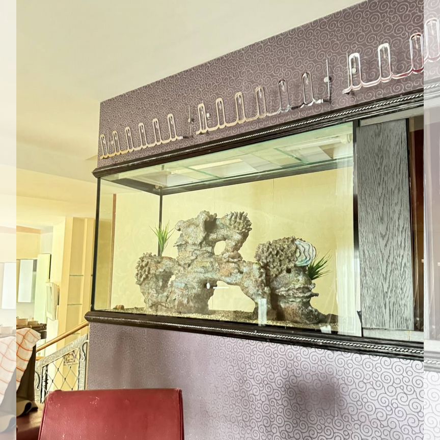 Аквариум 250 литров