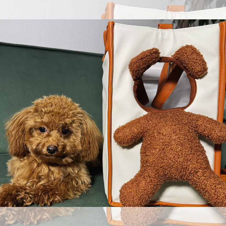 Сумка переноска для маленьких собак новая