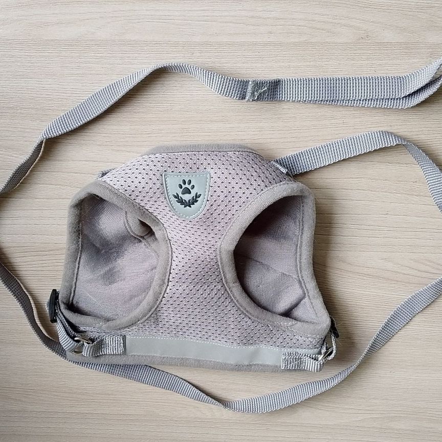 Шлейка для маленькой собаки