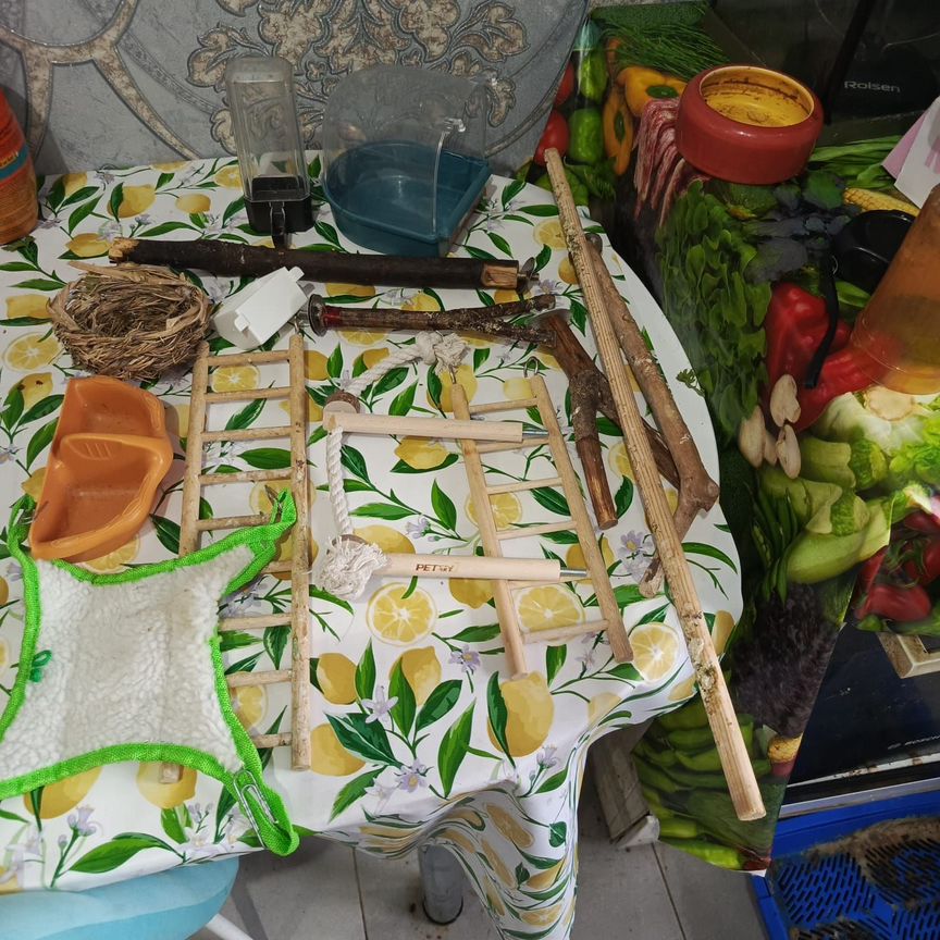 Отдаю за чай аксессуары для птиц и грызунов