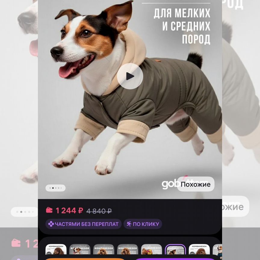 Одежда для собак