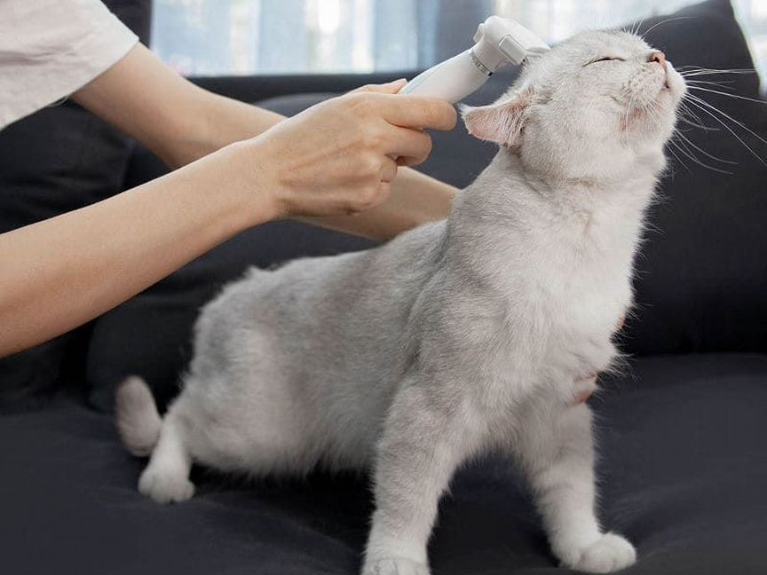 Расческа фурминатор для животных Xiaomi Pawbby