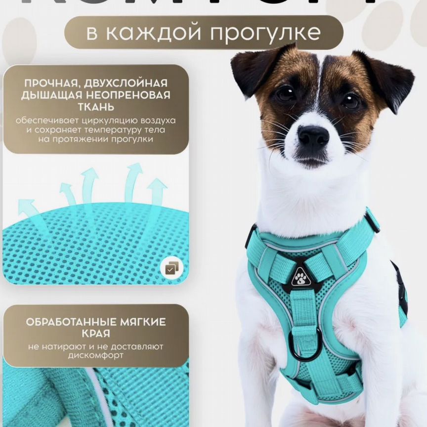 Шлейка доя кошек и собак