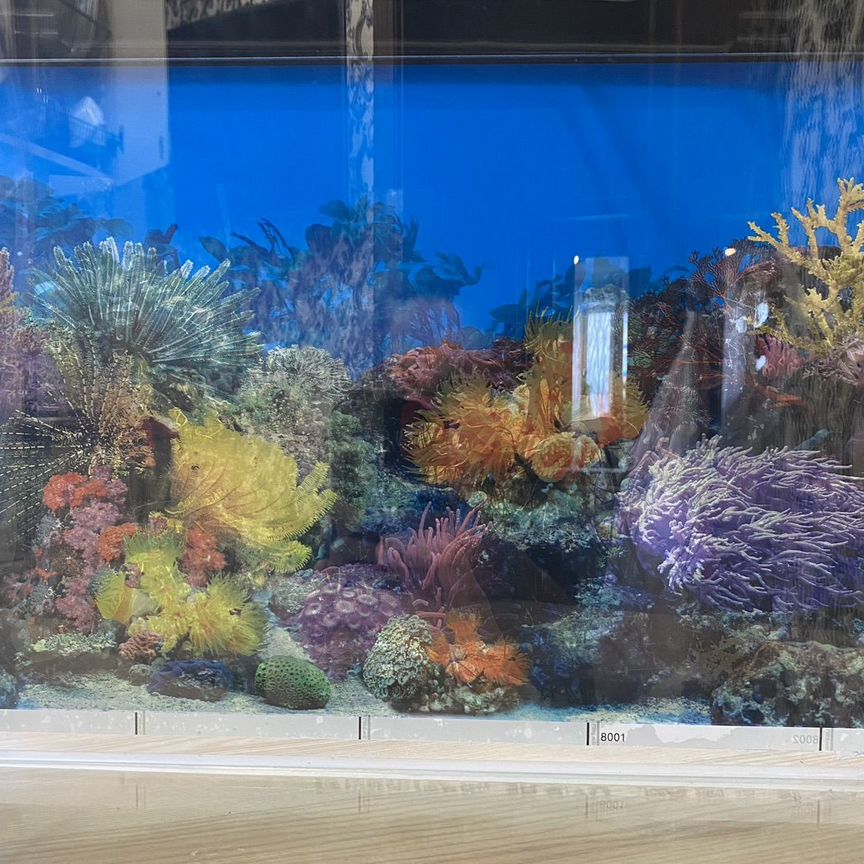 Аквариум 25 литров как новый