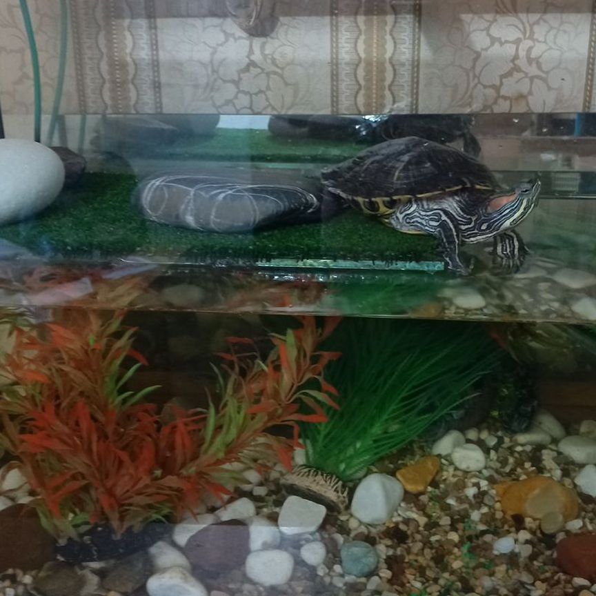 Украшение для аквариума