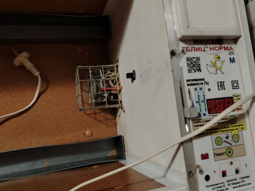 Инкубатор для яиц автоматический