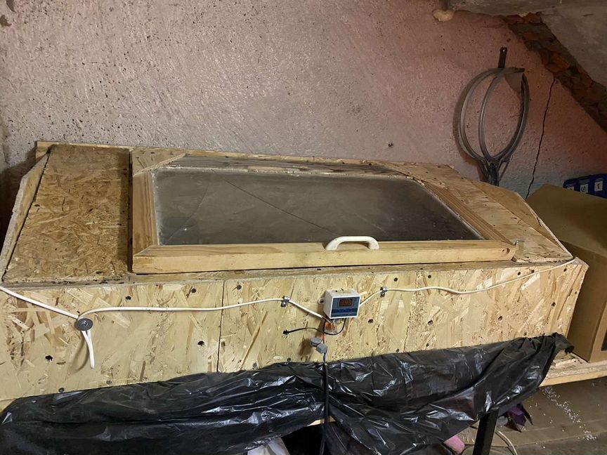 Будет для циплят