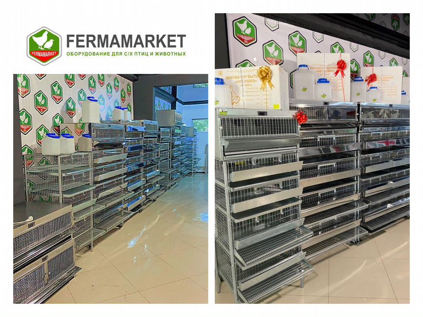 Клетки для перепелов Свободы