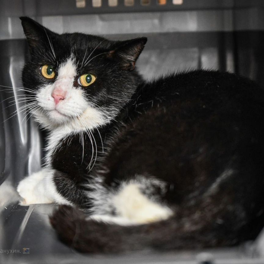 Бедняги Вернутся на Улицу