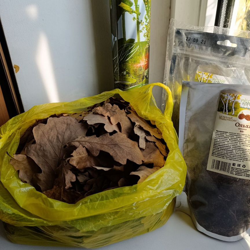 Листья дуба и шишки ольхи