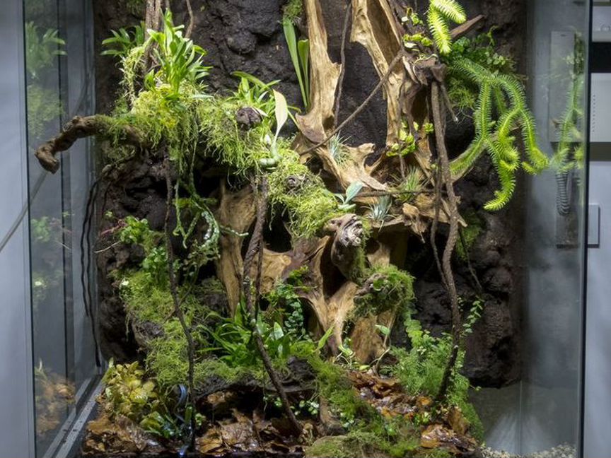 Продам Террариум