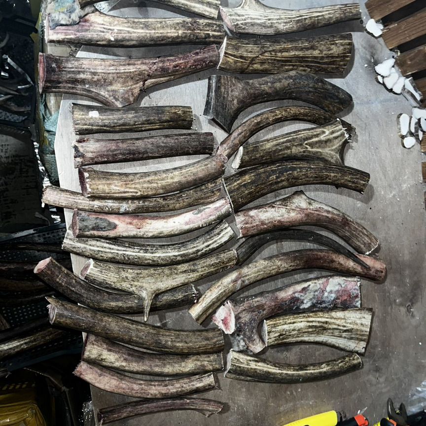 Лакомства для собак