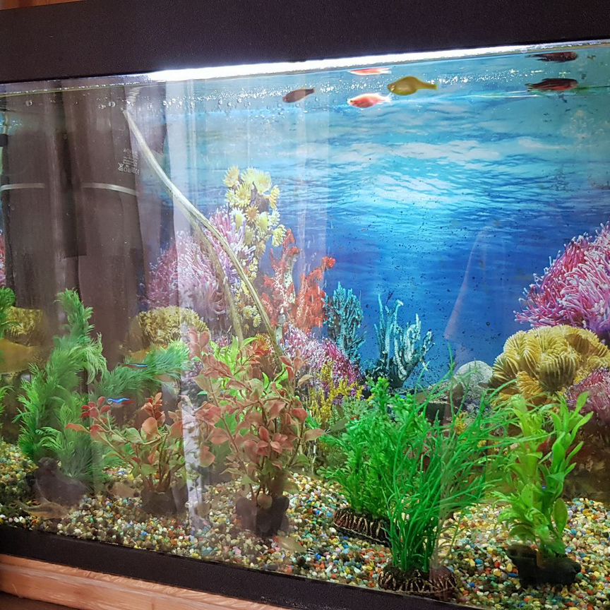 Аквариум с рыбками бу
