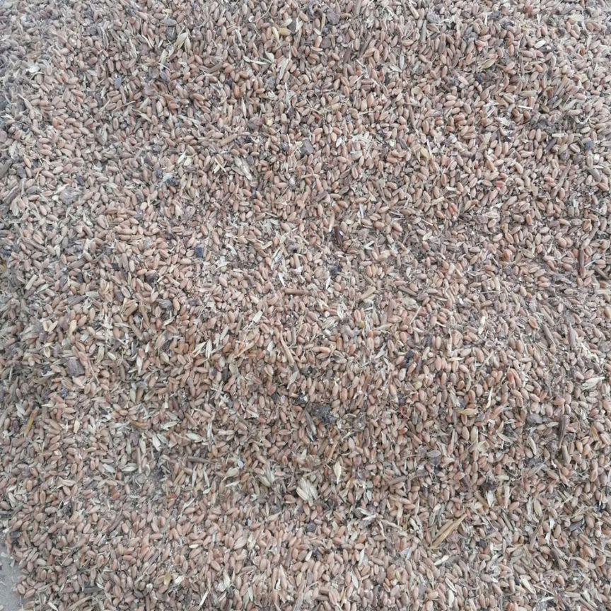 Отходы пшеницы