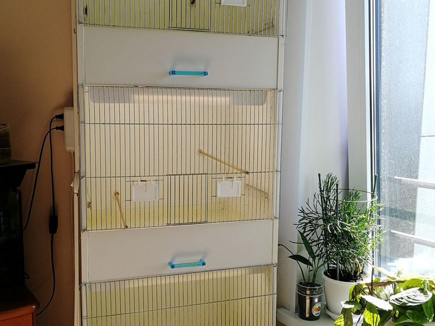 Бокс для птиц трех секционный