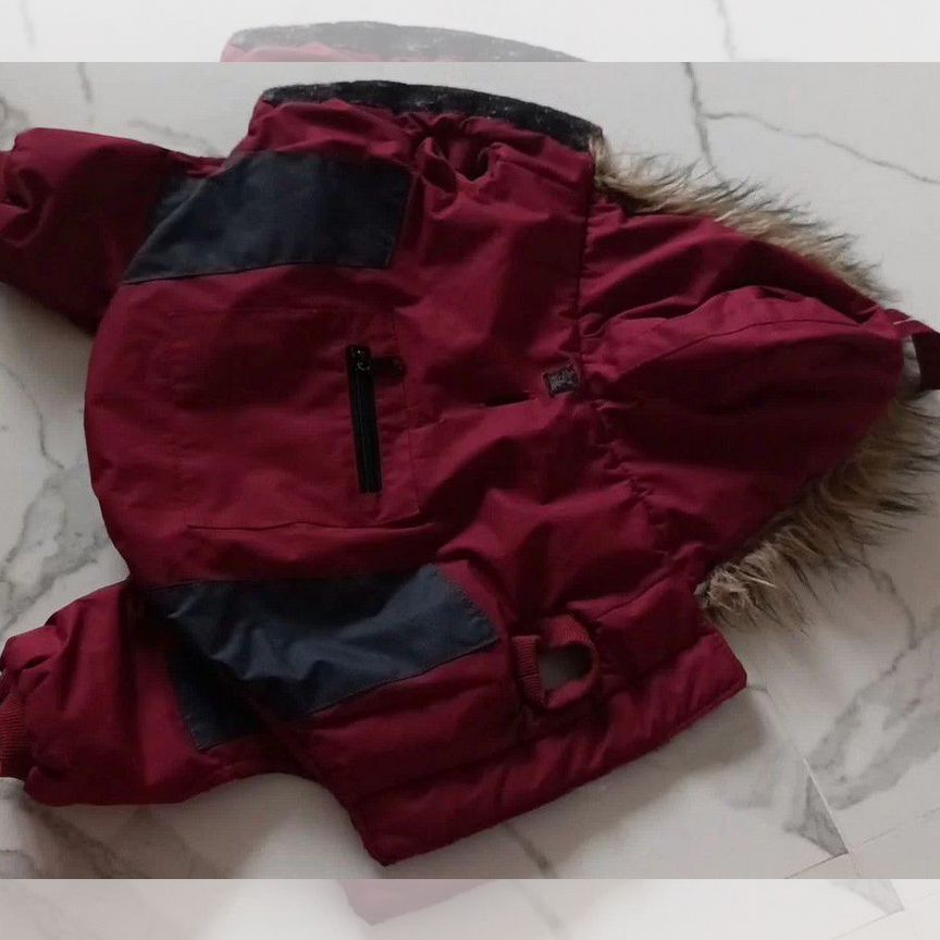 Костюм для маленькой собаки