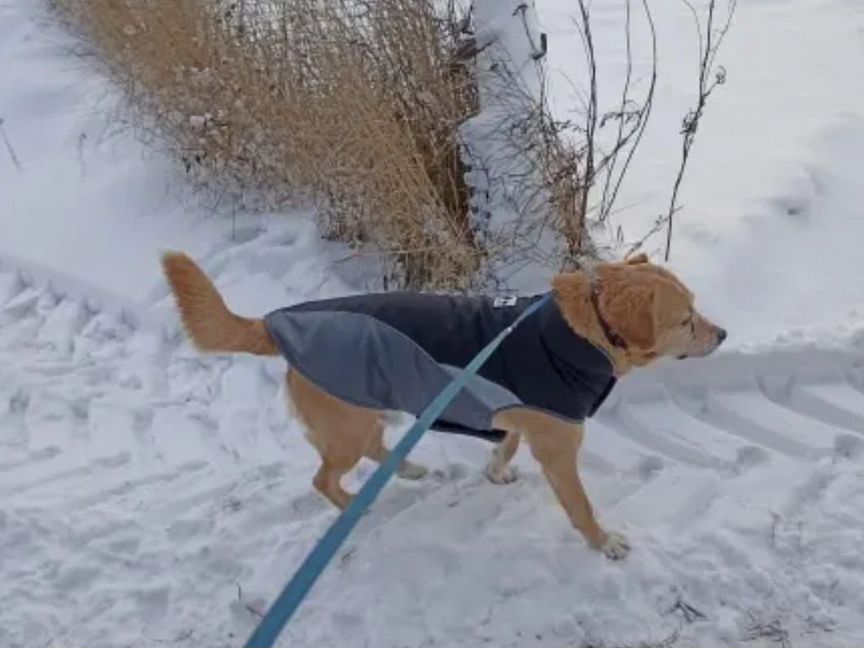 Куртка водонепроницаемая xxxl